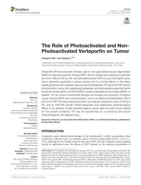 PDF The Role Of Photoactivated And Non Photoactivated Verteporfin On