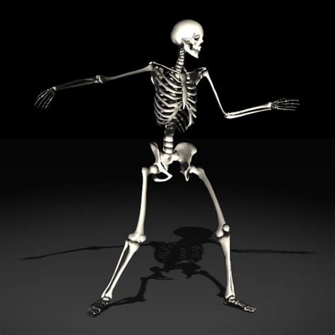 Webgl Skeletal Animation