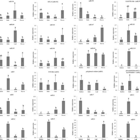 Validation Of Mirnas And Targets Using Qrt Pcr The X Axis Represents