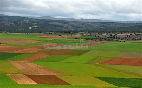 Crop Fields In Spring Stock Image Image Of Biology 324164715