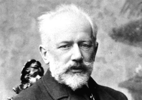 Tchaikovsky A Beginners Guide