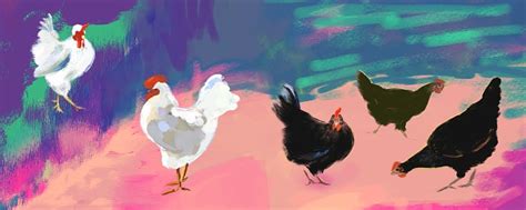 여름 더위 속에서 닭과 수탉이 있는 시골 마당의 그림 같은 그림 암탉에 대한 스톡 벡터 아트 및 기타 이미지 암탉 가금류