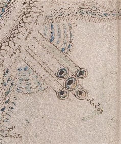 Voynich Manuskript Gehts In Der Mysteriösen Mittelalter Schrift Etwa