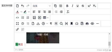 富文本：vue Tinymce Tinymce Vuepowerpaste可复制word