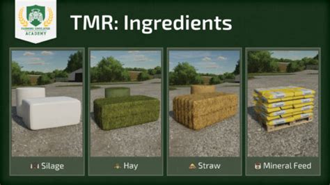 Farming Simulator 22 How To Prodcue Tmr Total Mixed Ration Fs22 Mod