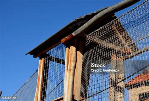 Photo Libre De Droit De Maison Denfants De Grande Hauteur Avec Ponts Et