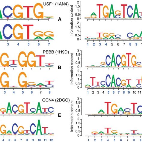 Qualitative Evaluation Of Foldx Derived Dna Binding Profiles