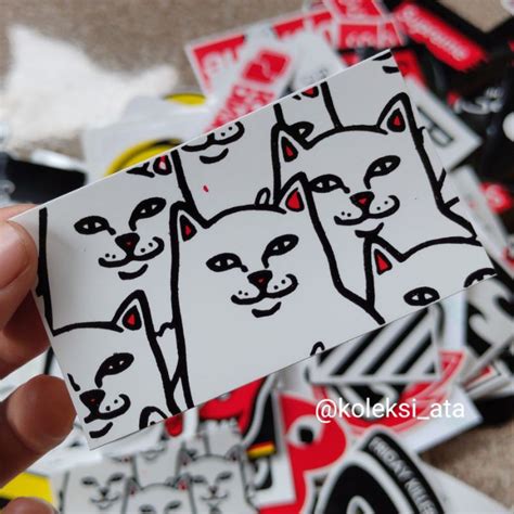 Jual Stiker Kucing Keren Shopee Indonesia