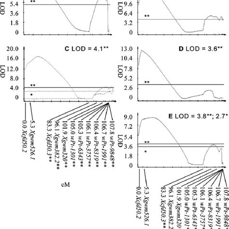 Composite Interval Analysis Of Chromosome 2d For The Quantitative Trait
