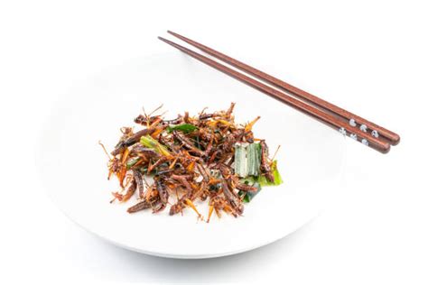 What Is The Nutritional Value Of Insects And Are Insects Healthy For