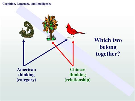 Ppt Cognition Language And Intelligence Powerpoint Presentation