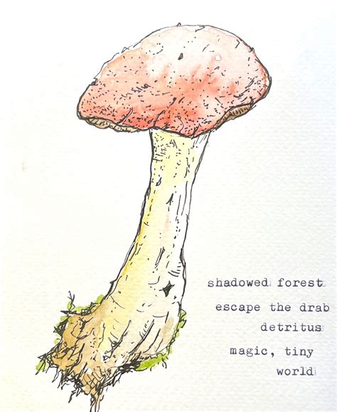 From The Shadowed Forest Floor Natures Reverie