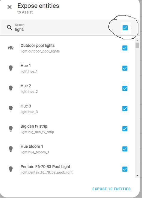 Voice Assistant No Way To Expose More Than One Entity At A Time