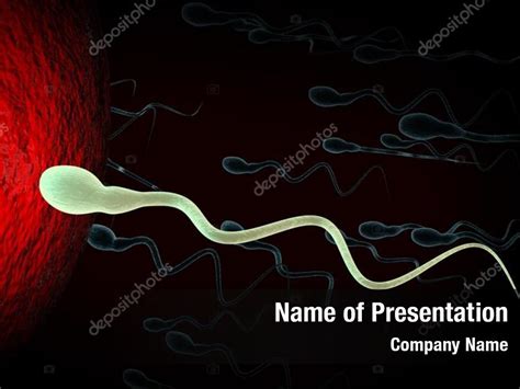 Human Medically Accurate Sperms Powerpoint Template Human Medically