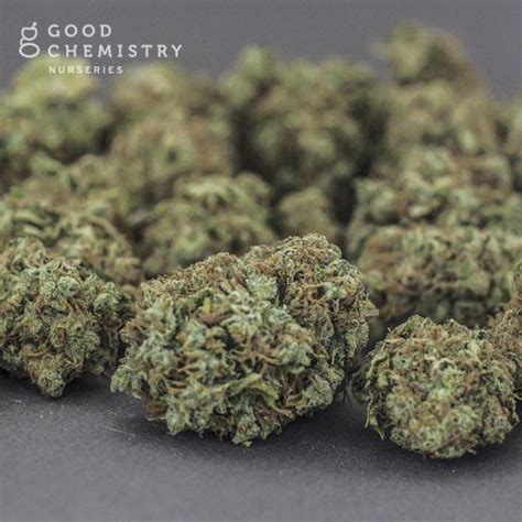 Stats The Sativa Dominant Jack Herer Strain Named After The Infamous
