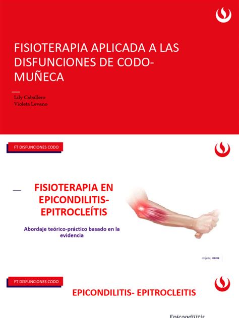 Semana 7 Codo Muñeca Descargar Gratis Pdf Codo Anatomía