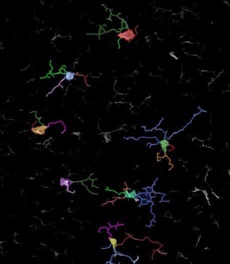 脳神経創薬基盤ユニット理研創薬医療技術基盤プログラム