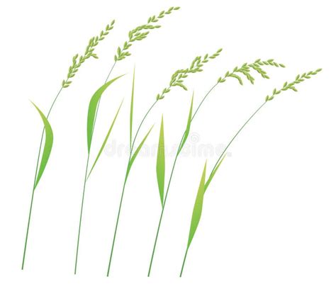 Wind Grass Stock Illustrations 32690 Wind Grass Stock Illustrations