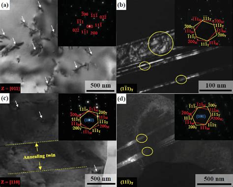 Representative Tem Micrographs Of The Microstructure Evolution Of The