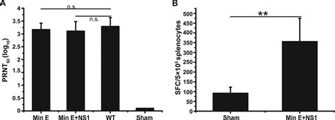 Humoral And Cellular Immune Responses Induced By Codon Pair Deoptimized Download Scientific