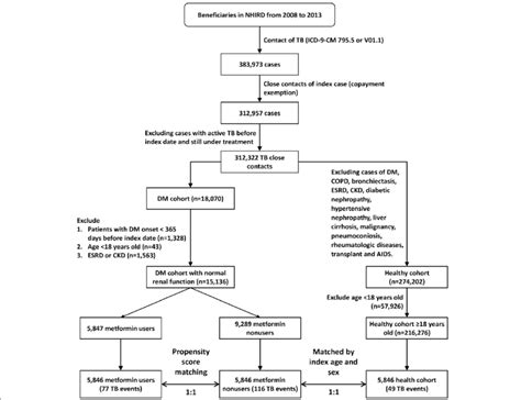 Pathogenesis Of Tb Flowchart