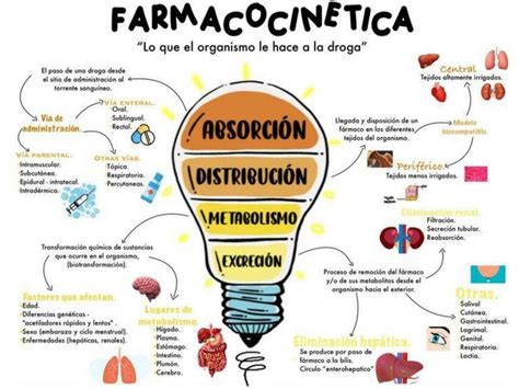 Udocz 1 Andrea Udocz