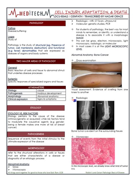 Genpath Prelims Pdf Inflammation Epithelium