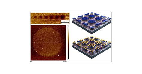 Molecular Patterning And Directed Self Assembly Of Gold Nanoparticles