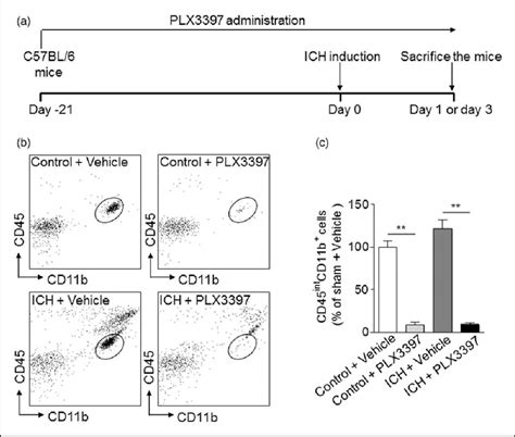 Csf1r Inhibition Eliminates Microglia In Brain A Schematics Of