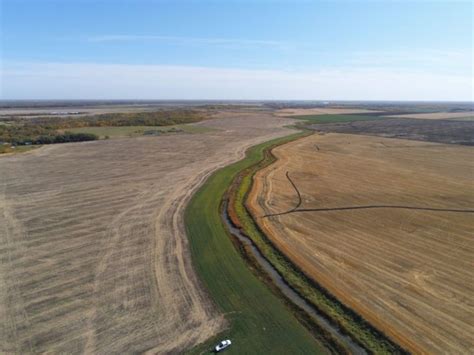 Herbsigwil Farms Alus Riparian Perennial Grass Buffer Seine Rat Roseau Watershed District