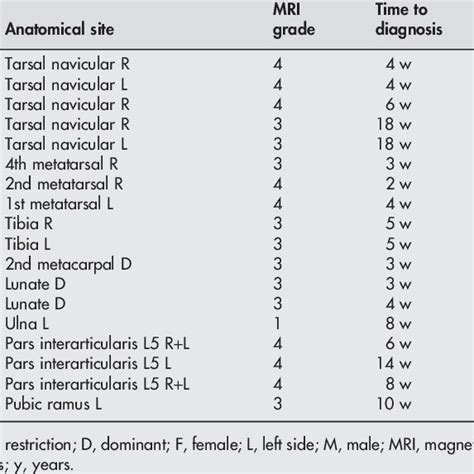 Radiological Grading Of Stress Fractures Arendt Et Al 13 Download