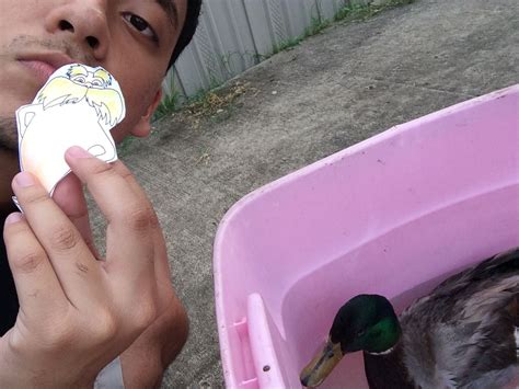 Photo Taken On May 11 I Had A Lorax Moment When My Mom Found A Duck On