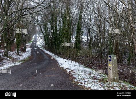 Snowy Day Signpost With Scallop Shell Symbol Of Camino De Santiago In