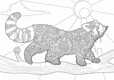 Printable Red Panda Coloring Pages [2025]