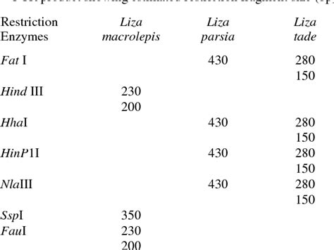 Table 1 From Pcr Rflp And Sequence Analysis Of 12s And 16s Rrna