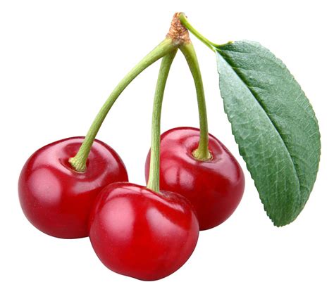 Turkish Cooking Everyday Kitchen Miracles The Cherry