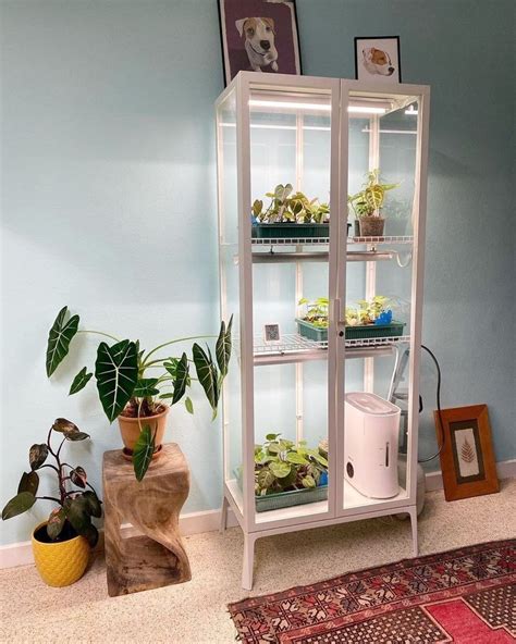 IKEA Greenhouse Cabinet On Instagram Anthuriumangel About This