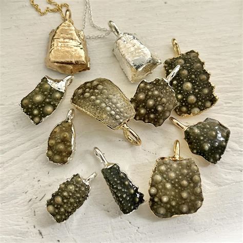 I Transformed These Broken Sea Urchin Kina Shells Nostalgem