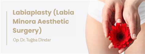 Labiaplasty Labia Minora Aesthetic Surgery Op Dr Tuğba Dindar