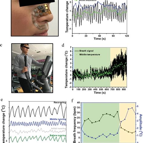 The Theoretical Analysis Of The Respiratory Monitoring Process A Download Scientific Diagram