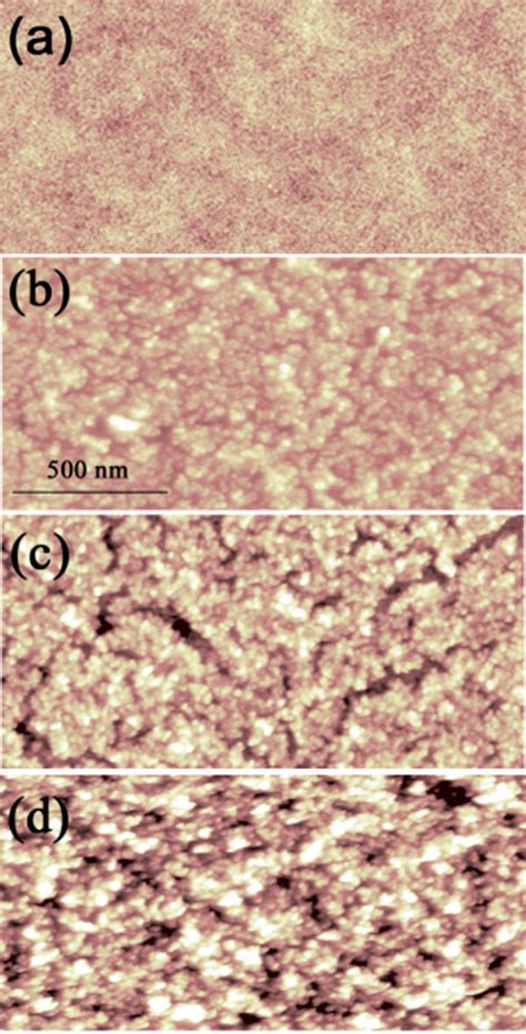 Afm Topographical Maps Of Pdms A And Three Different Samples Of Download Scientific Diagram
