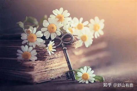 原来，上天要 抛弃”一个人，往往有这三个迹象 知乎