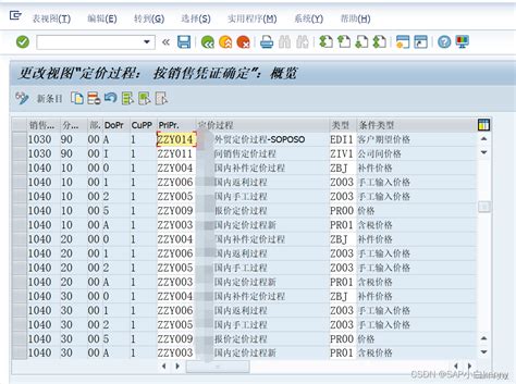 Sap 定价过程sap定价 Csdn博客