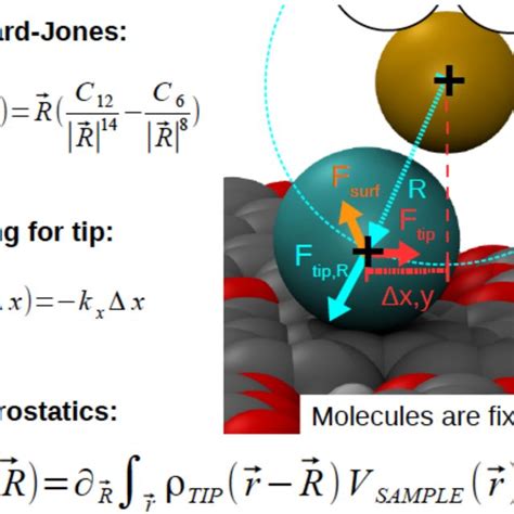 2 The Forces Acting On The Probe Particle In A Probe Particle Model Download Scientific
