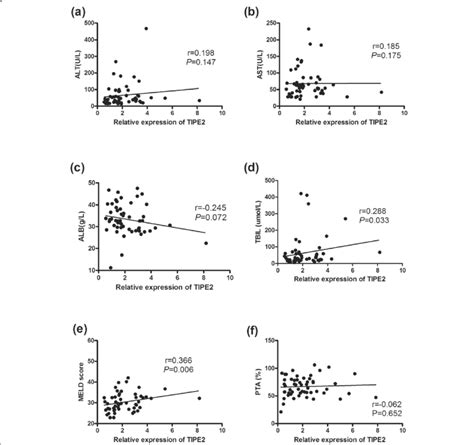 Expression Of Tipe2 Mrna From Peripheral Blood Mononuclear Cells In Lc