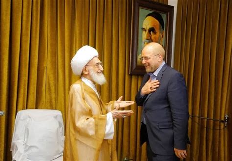 آیت الله نوری همدانی برای وضعیت اقتصادی و معیشتی فکری شود تسنیم