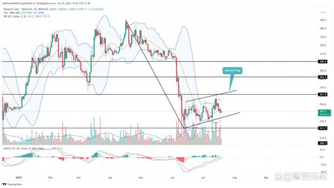 Will Binance Coin Price See A Major Correction Bearish Pattern Triggers 20 Drop 壳子 On