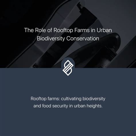 The Role Of Rooftop Farms In Urban Biodiversity Conservation → Scenario