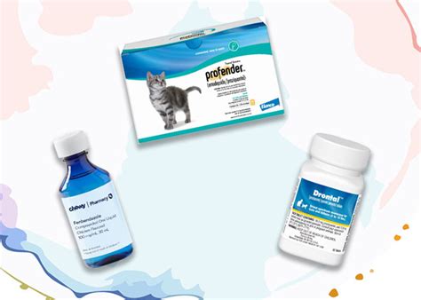 Best Cat Dewormers In 2024 Vet Approved Bored Panda