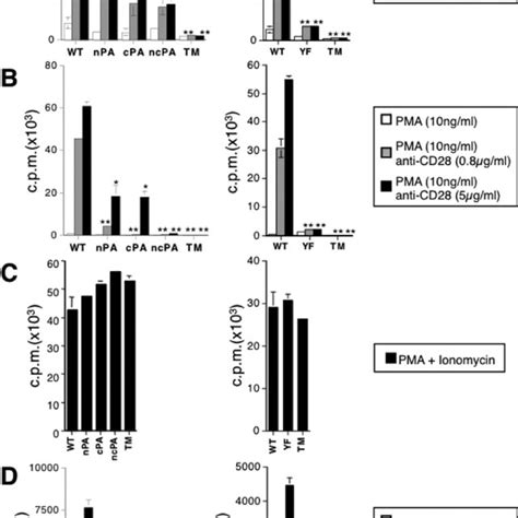 Two PxxP Motifs And A YMNM Motif Are Important For Proliferation And